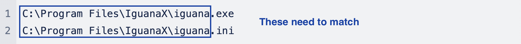 Create an iguana.ini file for custom installation | Iguana X Documentation